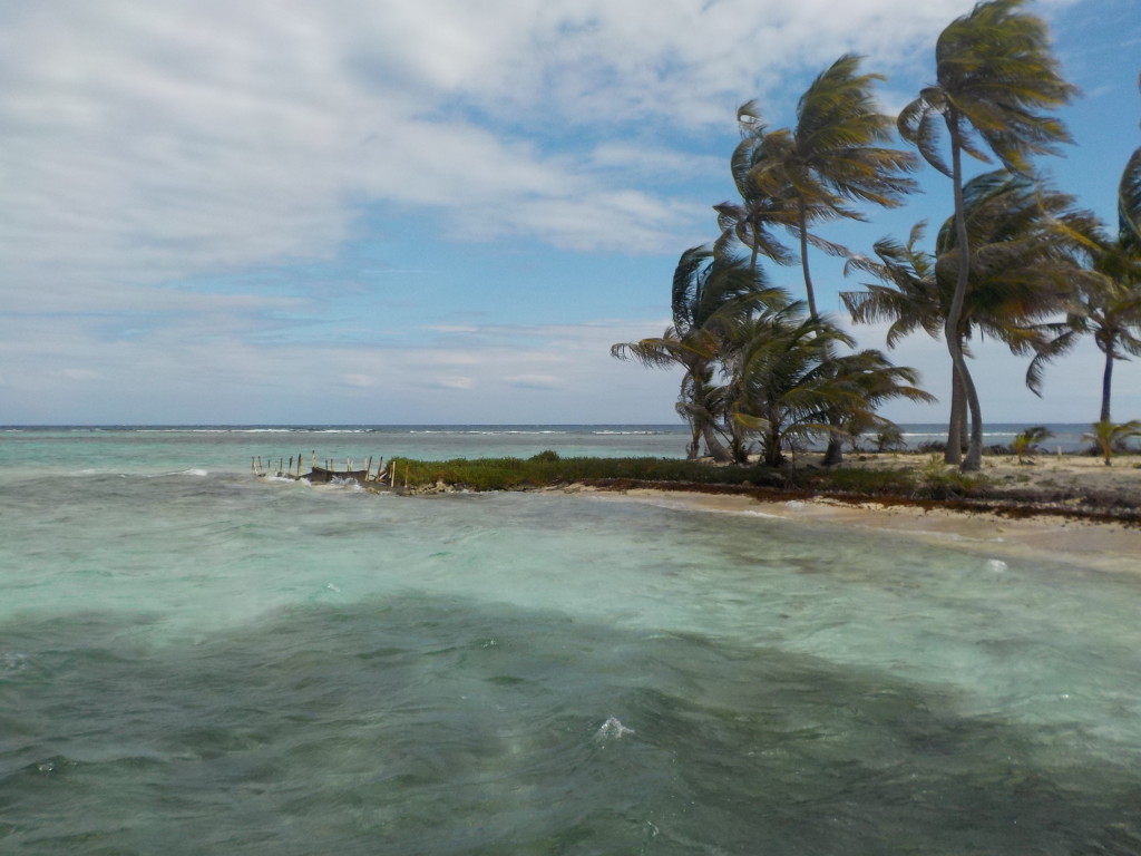 Belize: When Knowledge Became Understanding – The Wilson Billboard